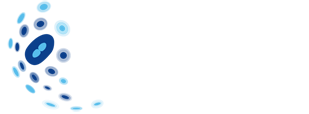 ISPPD 2024 - ISPPD 2024